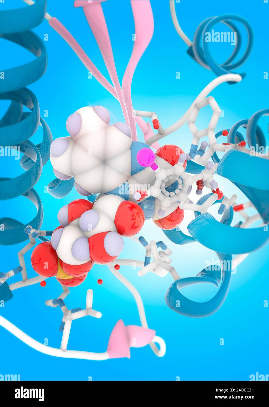 Illustration of the active site of iodothyronine deiodinase enzyme ...