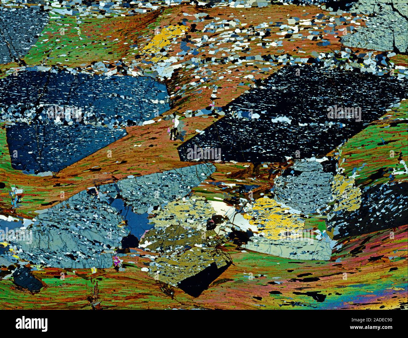 Thin section micrograph in transient polarized light of large lozenge ...