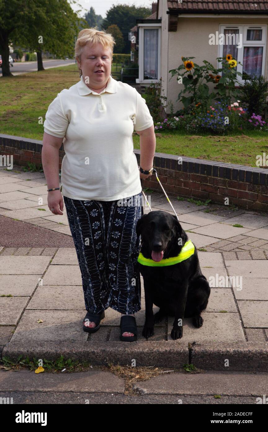 Partially sighted woman crossing road with her guide dog Stock Photo ...
