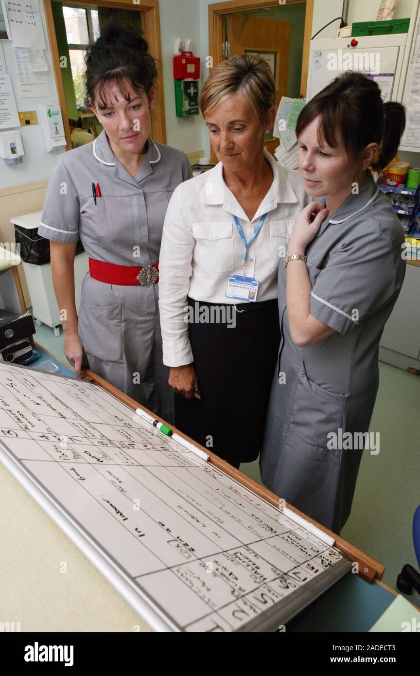 Maternity Staff consultation over Labour suite room plan Stock Photo ...