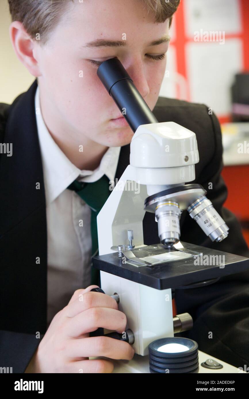 Secondary School student using a microscope to examine dust particles ...