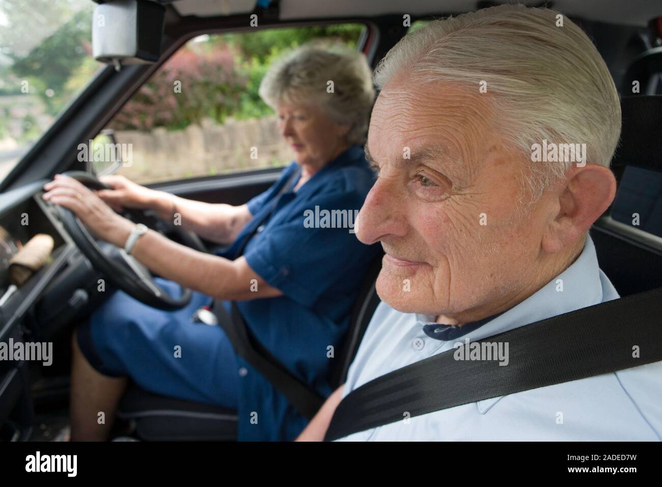 Older woman driving a car Stock Photo - Alamy