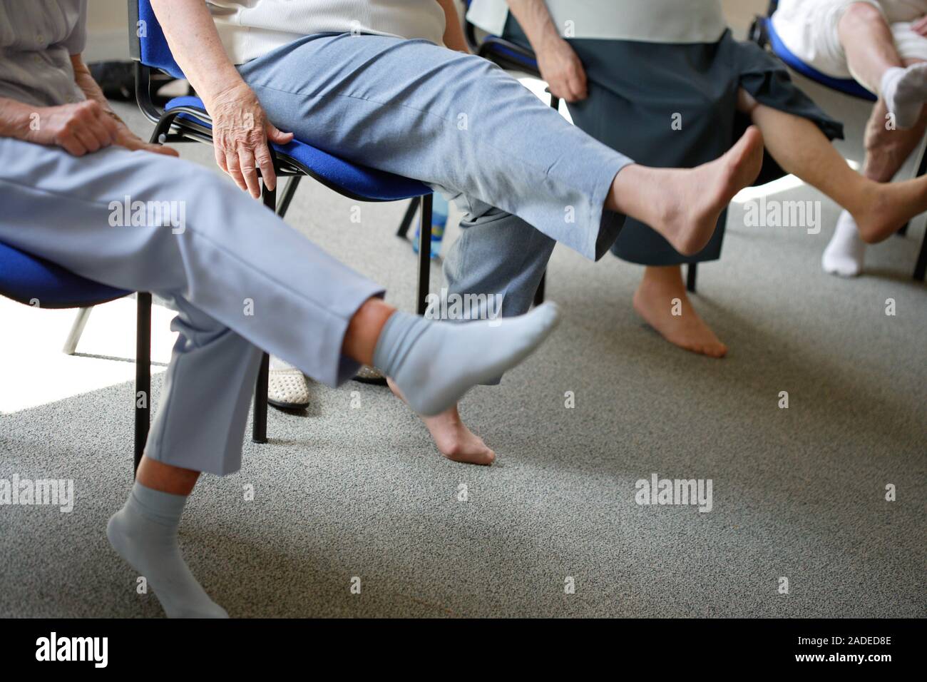 Group of older women doing leg stretching exercises at a keep fit class ...