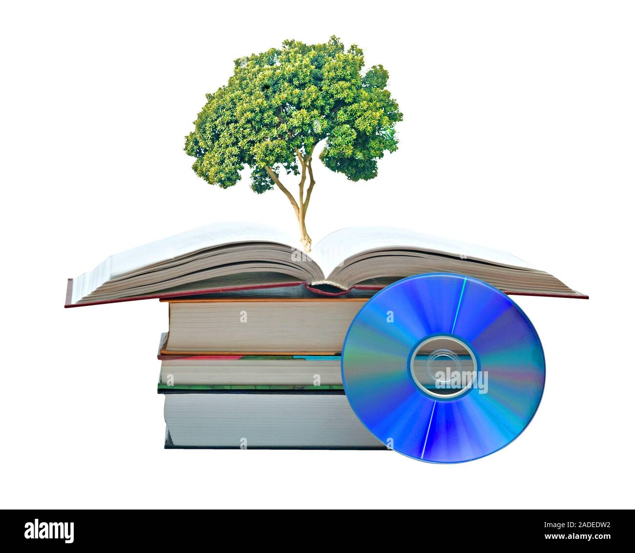 Open book with tree of knowledge Cut Out Stock Images & Pictures - Alamy
