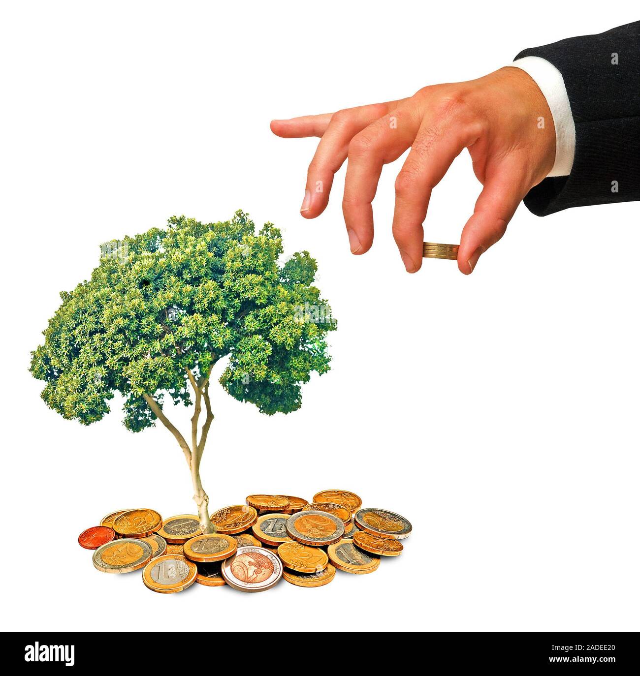 Tree growing from coins Stock Photo - Alamy