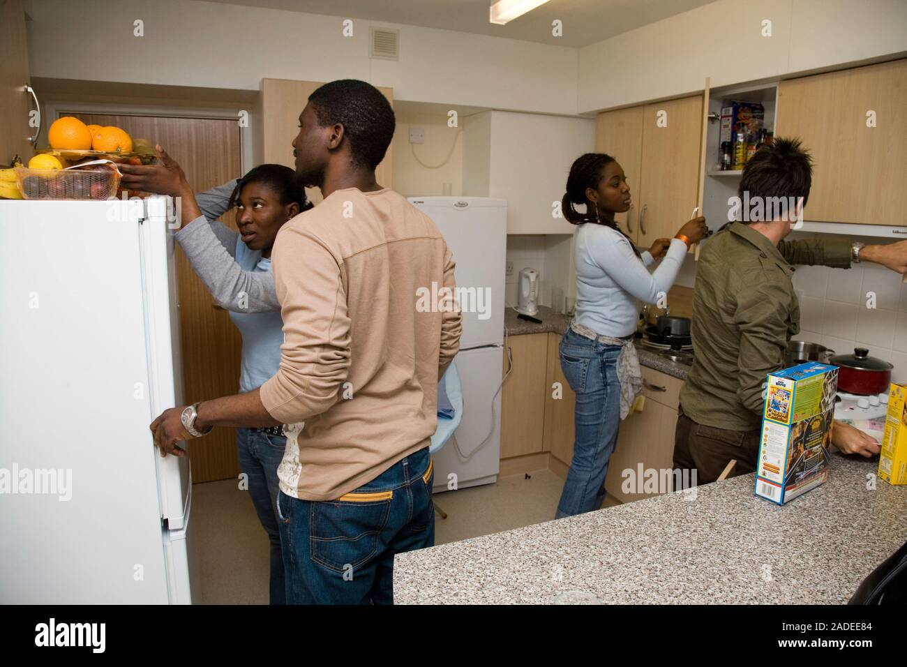 University students doing chores in shared accommodation kitchen Stock ...