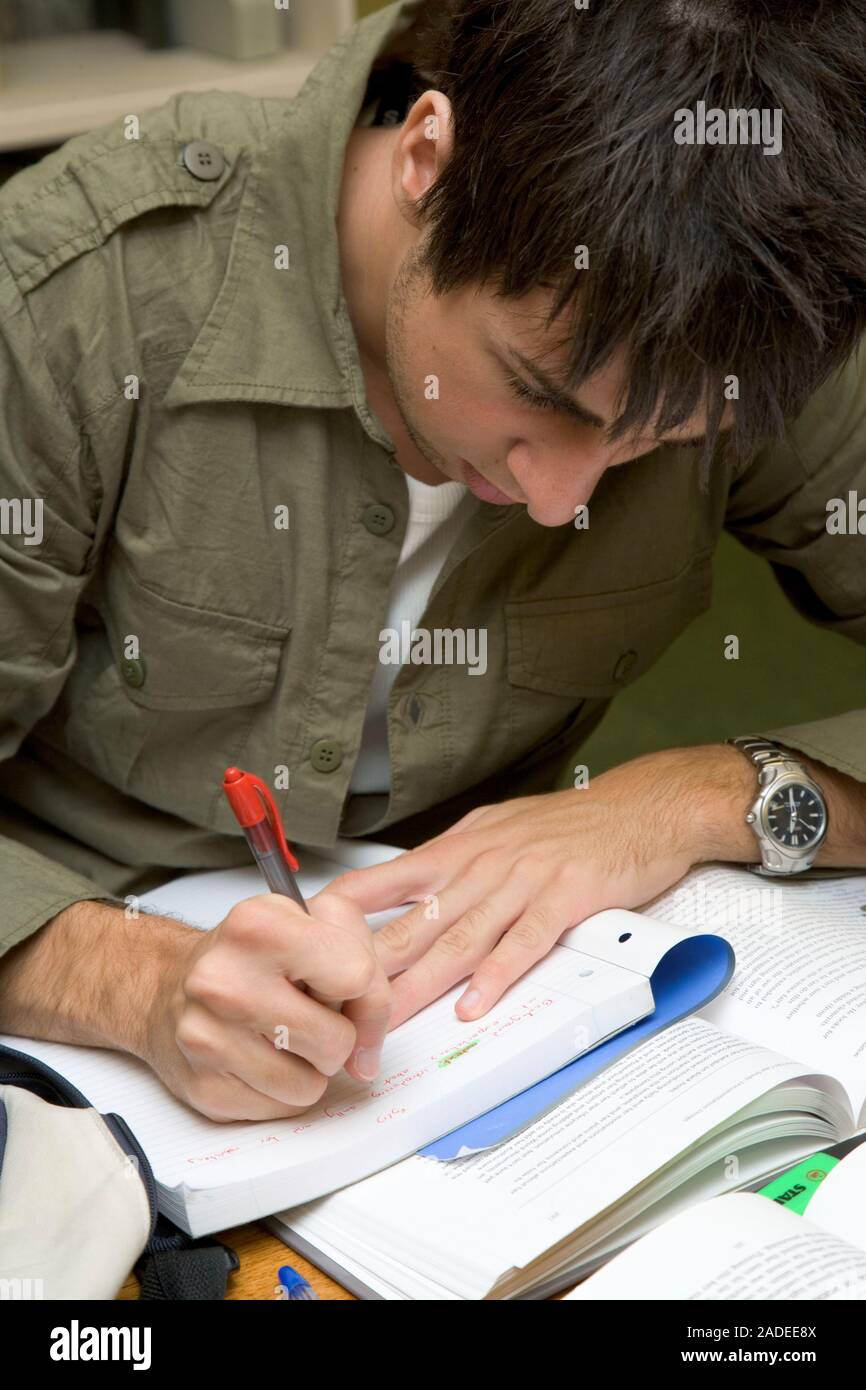 University student working in the college library Stock Photo - Alamy