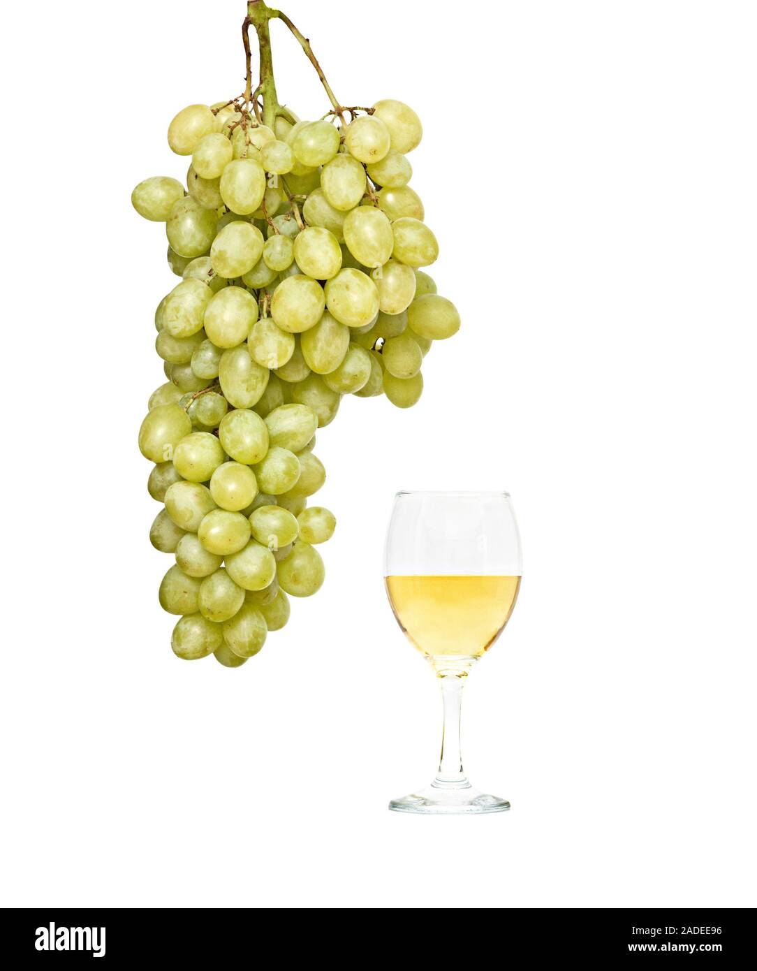 Goblet with wine and grapevine isolated on white background Stock Photo ...