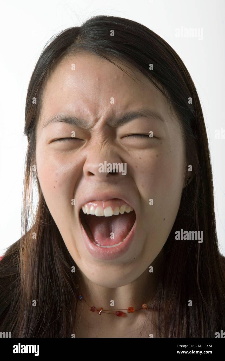 Studio portrait of a teenage girl shouting Stock Photo - Alamy