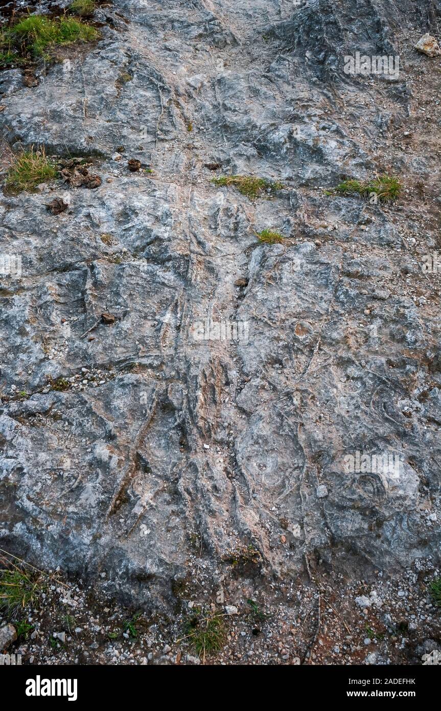 Bare limestone near Dirtlow Rake with fossils and irregular deposition ...