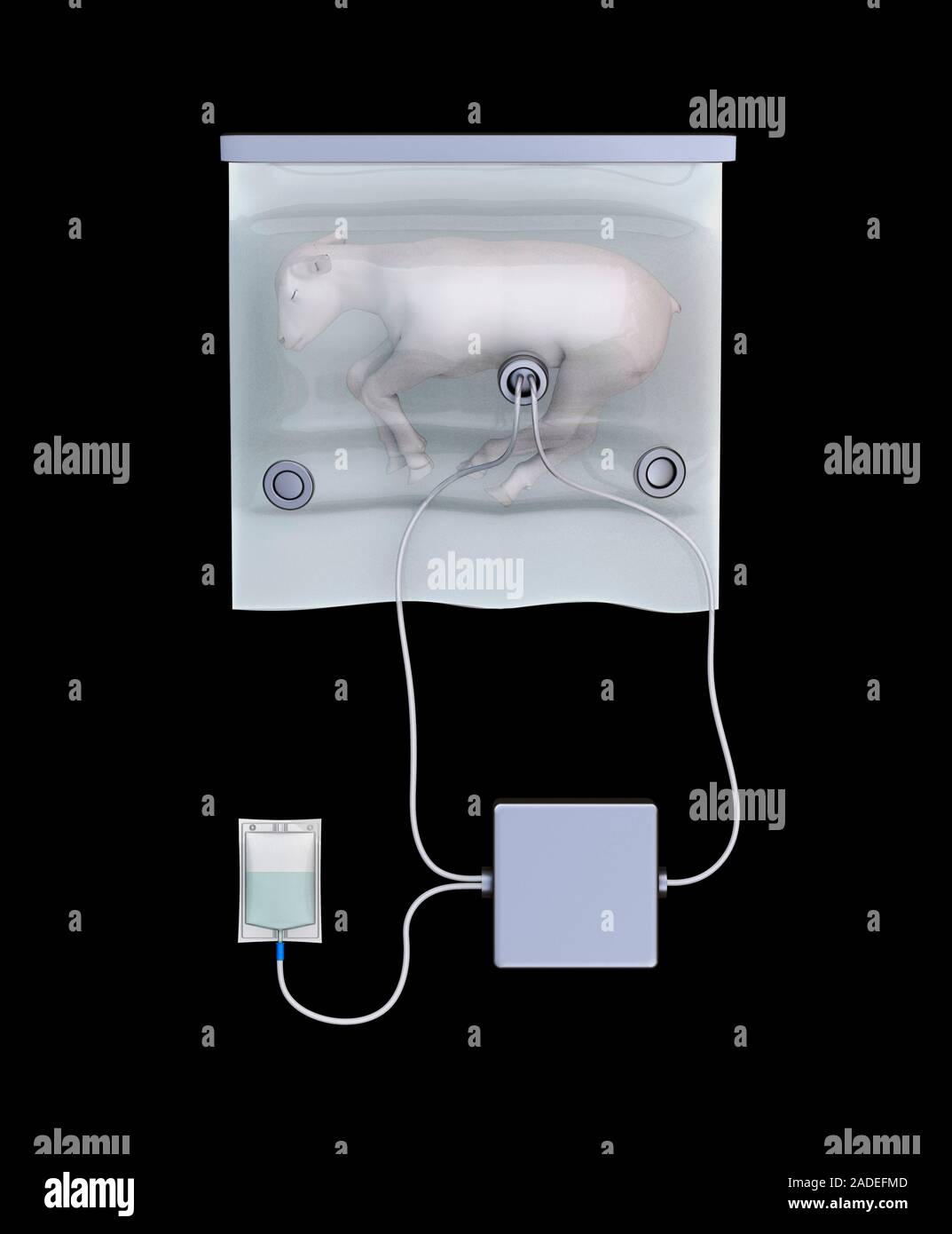 Artificial uterus. Illustration showing an artificial uterus allowing a ...