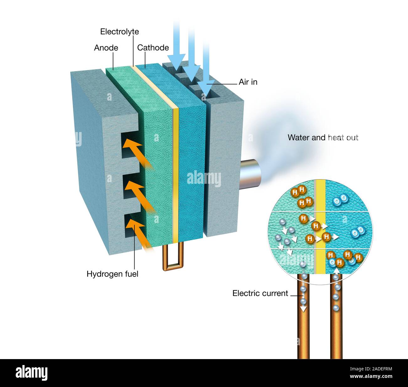 Hydrogen fuel cell, illustration. This is a clean and efficient power ...