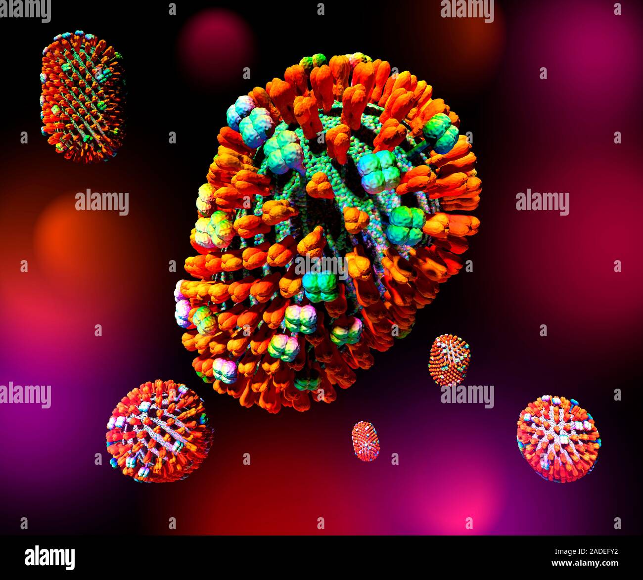 This image may not be used in educational posters Influenza viruses ...