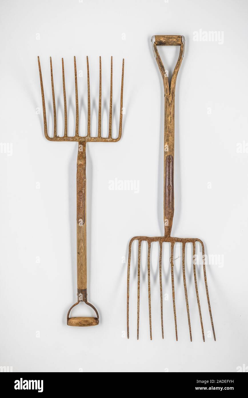Old potato forks Stock Photo - Alamy
