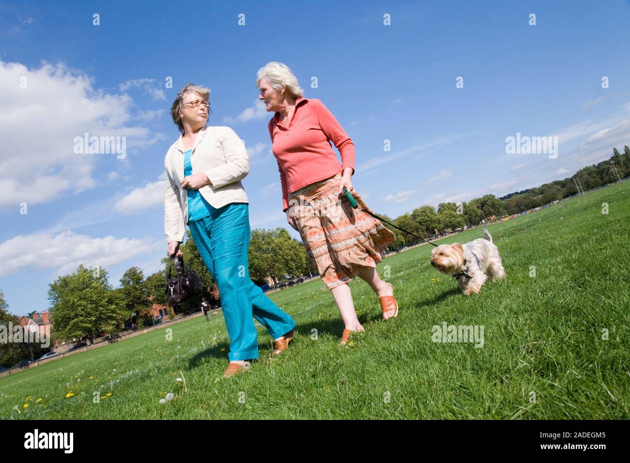 Women walking a dog in the park Stock Photo - Alamy