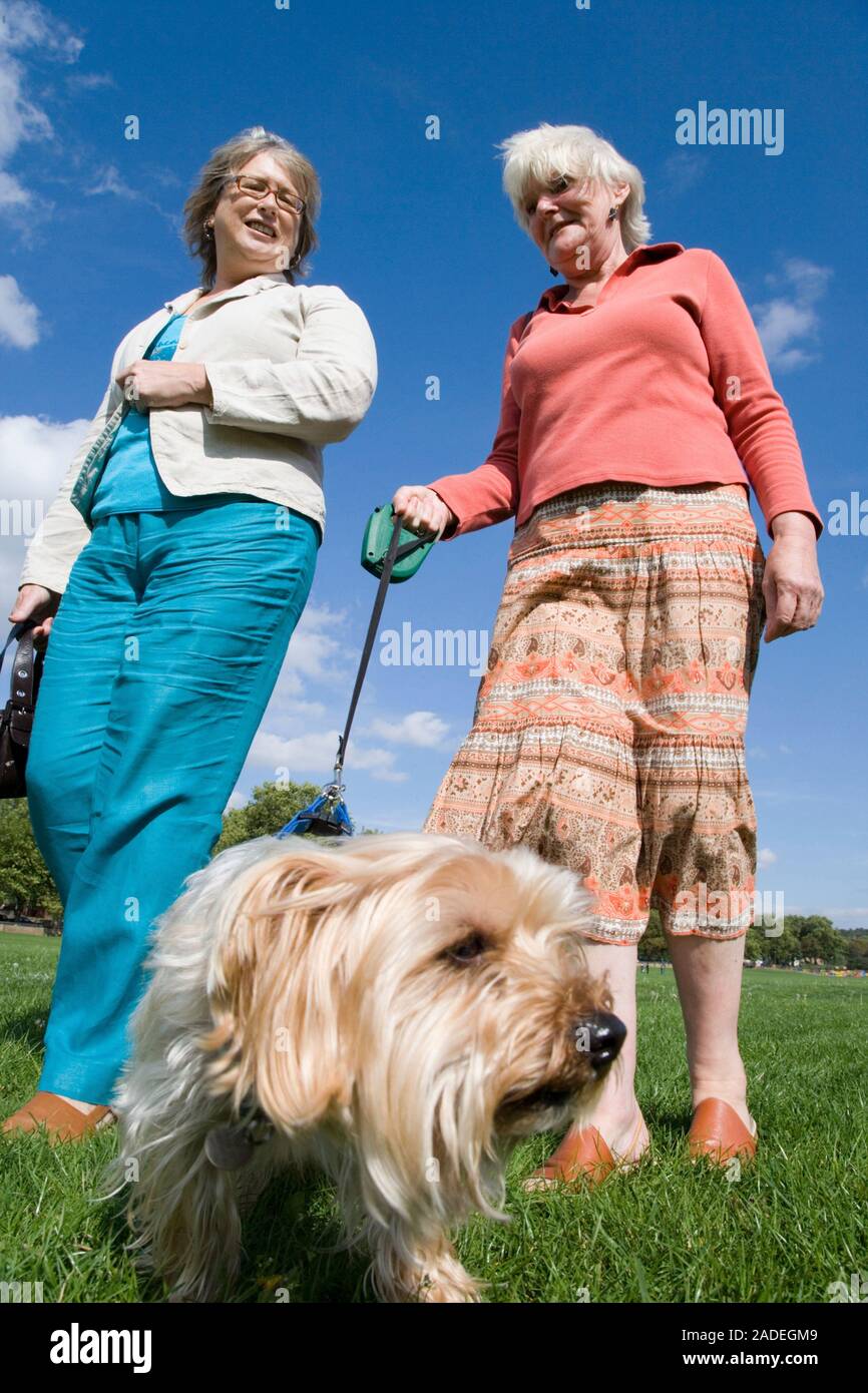 Women walking a dog in the park Stock Photo - Alamy