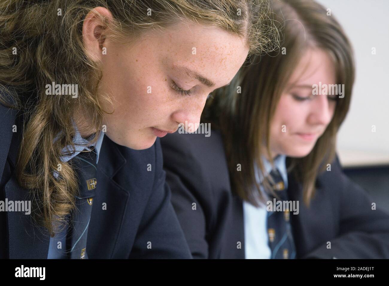 Secondary school students studying in class Stock Photo - Alamy