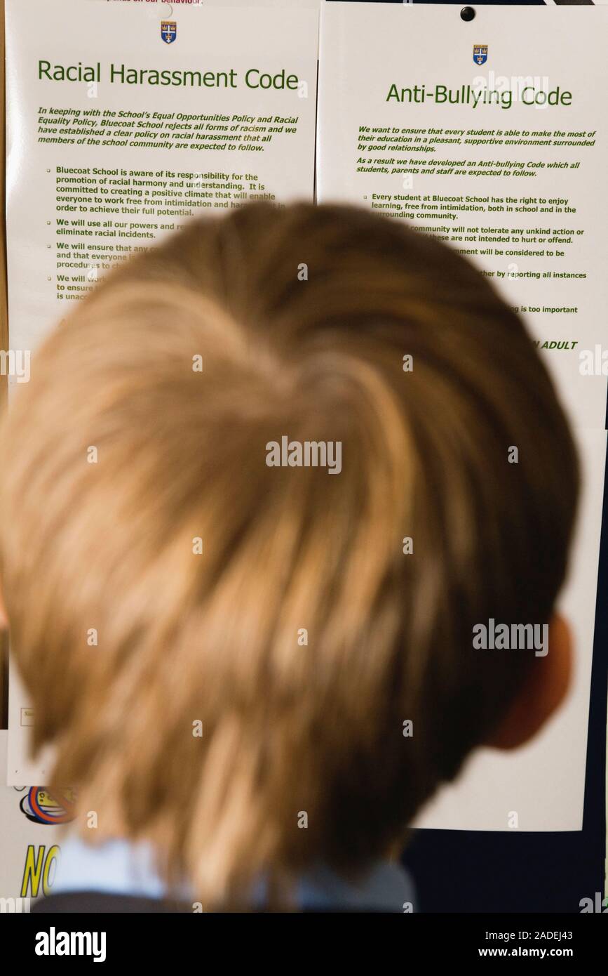 Secondary school student studying the school's antibullying and racial ...