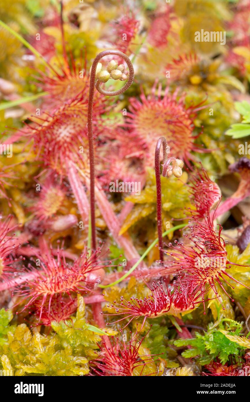 Stand close up hi-res stock photography and images - Alamy