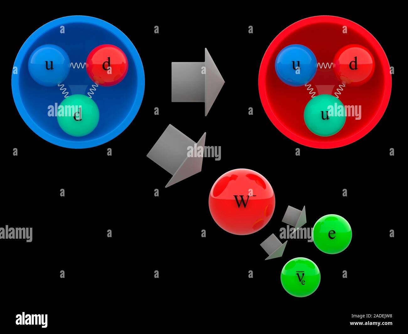 Free neutron decay. Illustration showing the decay of a neutron (left ...