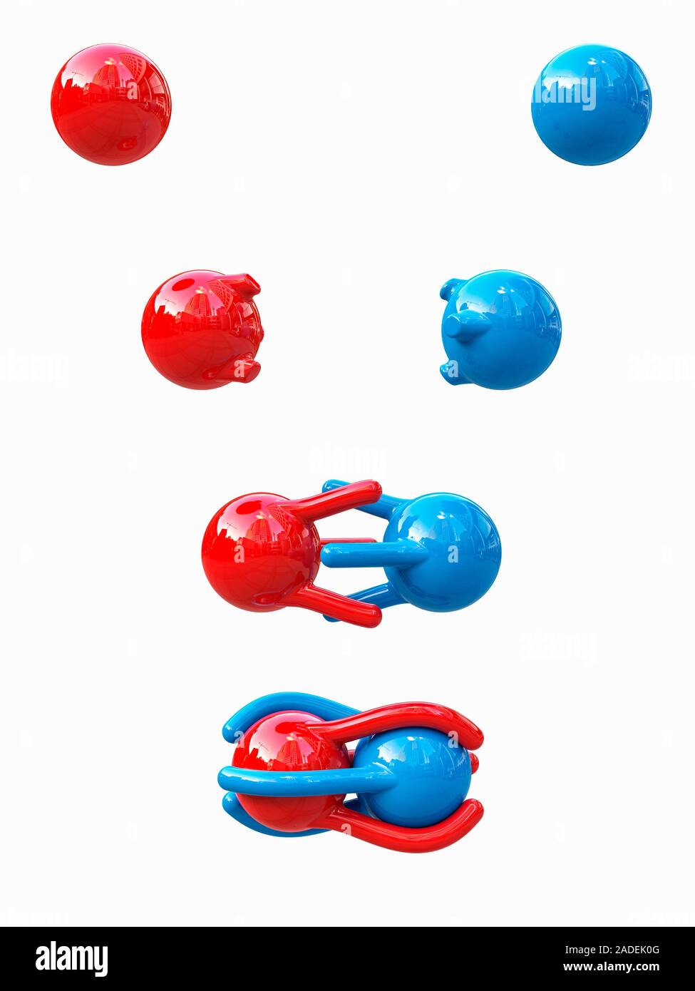 Entangled particles. Conceptual illustration symbolizing the quantum ...