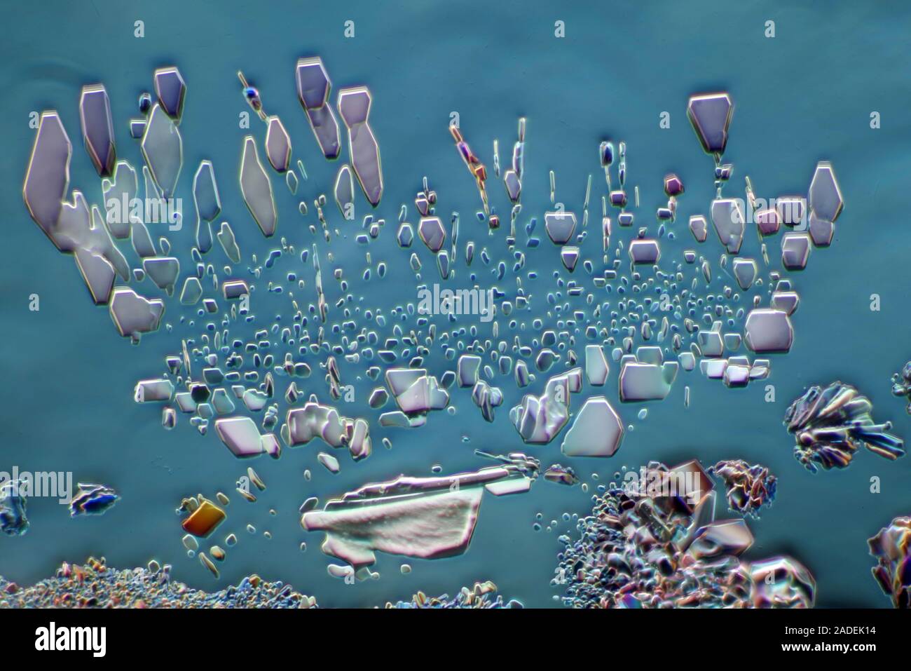 Vitamin B3 crystals, polarised light micrograph. Vitamin B3 exists in ...