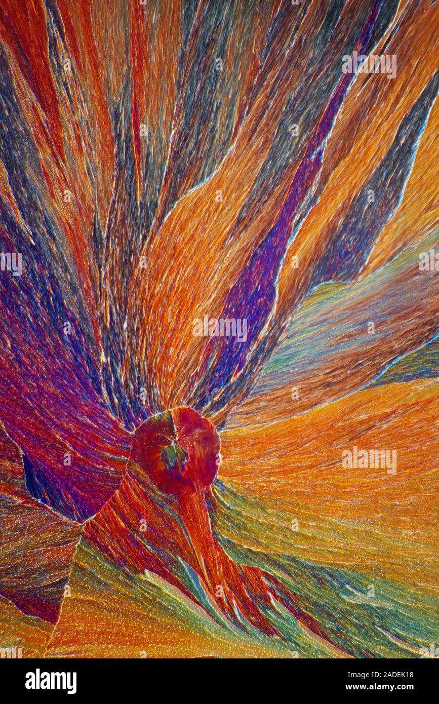 Vitamin B3 crystals, polarised light micrograph. Vitamin B3 exists in ...