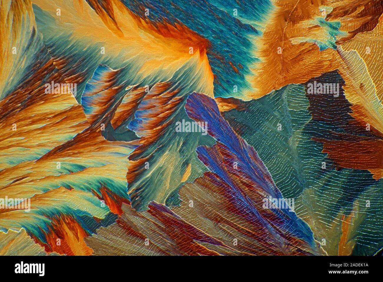 Vitamin B3 crystals, polarised light micrograph. Vitamin B3 exists in ...