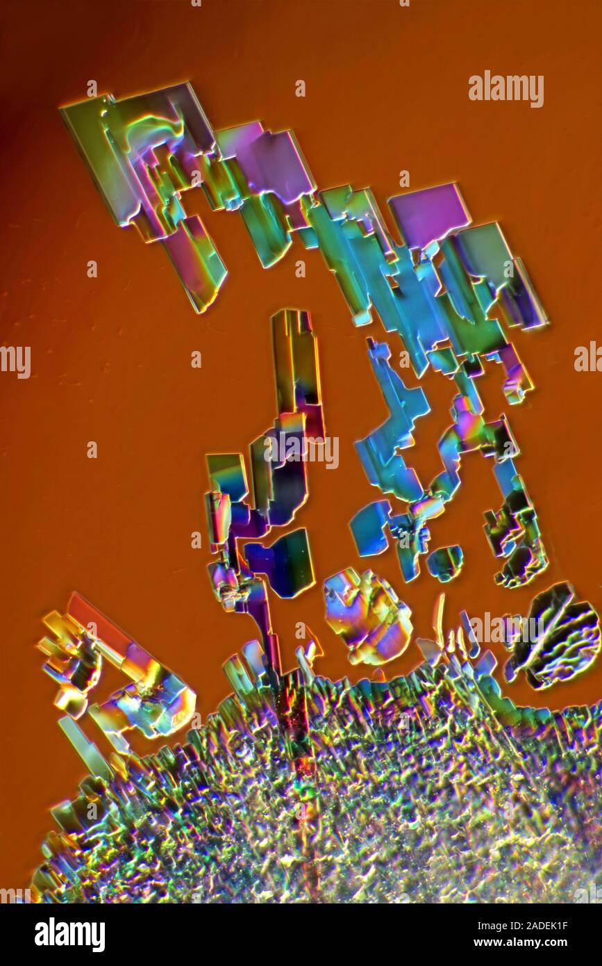 Vitamin B3 crystals, polarised light micrograph. Vitamin B3 exists in ...