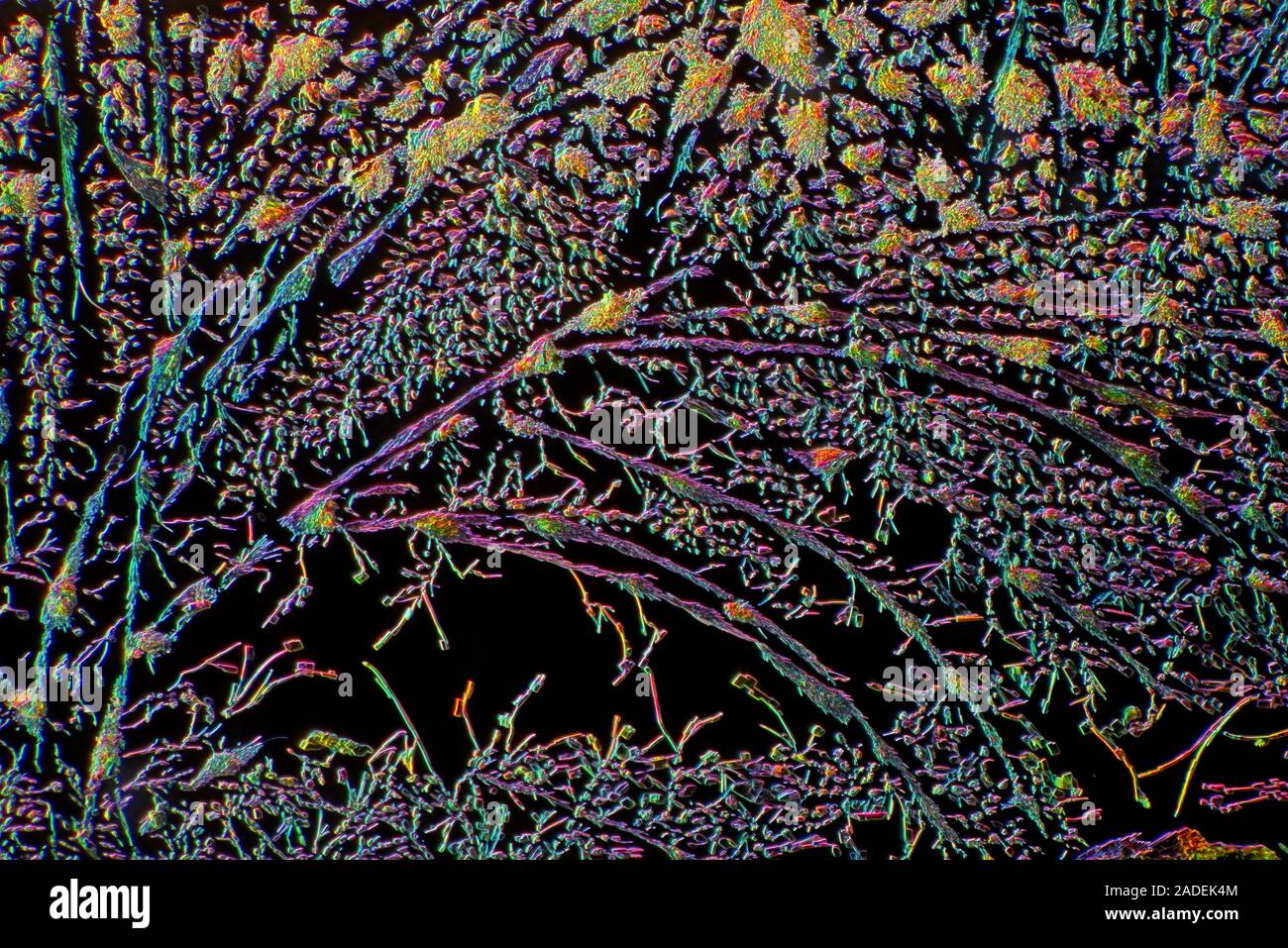 Vitamin B3 crystals, polarised light micrograph. Vitamin B3 exists in ...