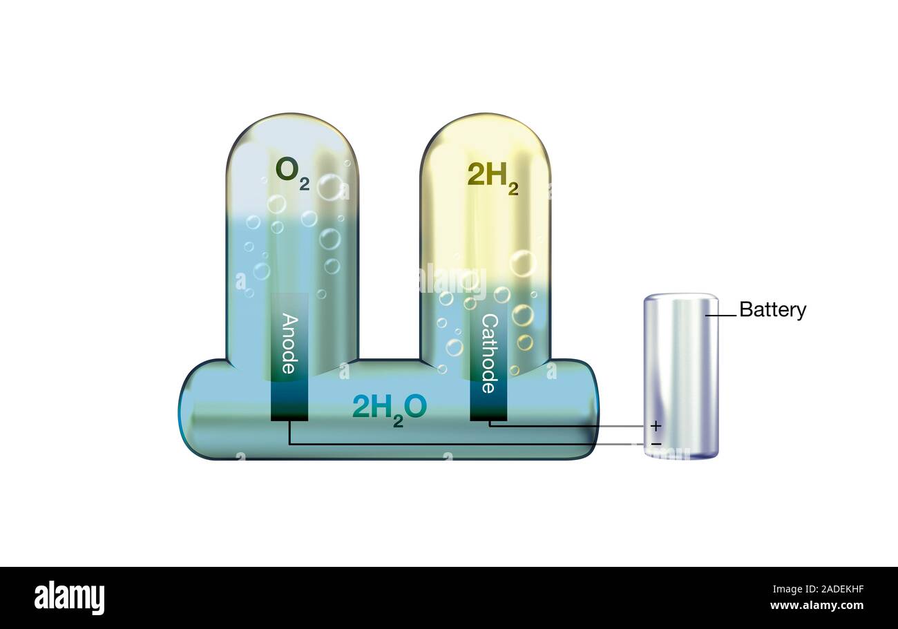 Electrolysis of water, illustration. Electrolysis is the use of an ...