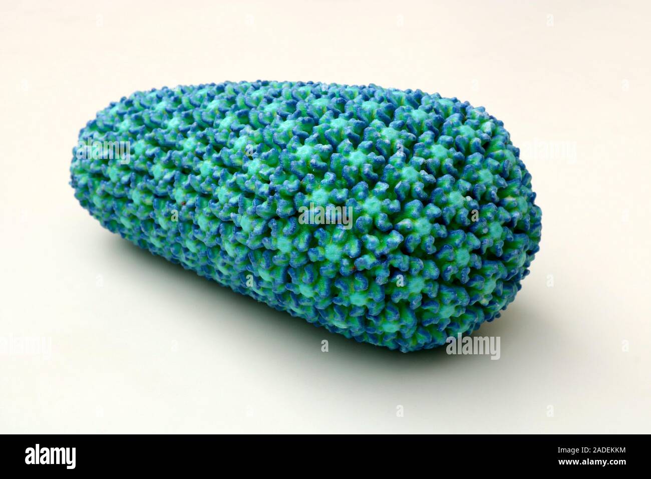 HIV capsid. 3D printed model of the protein shell (capsid) that ...