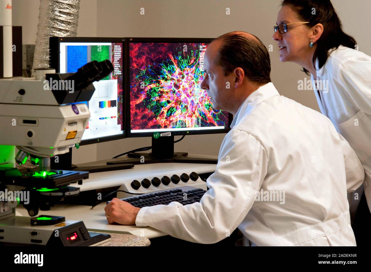 Ophthalmic research. Researchers examining eye tissue samples under a ...