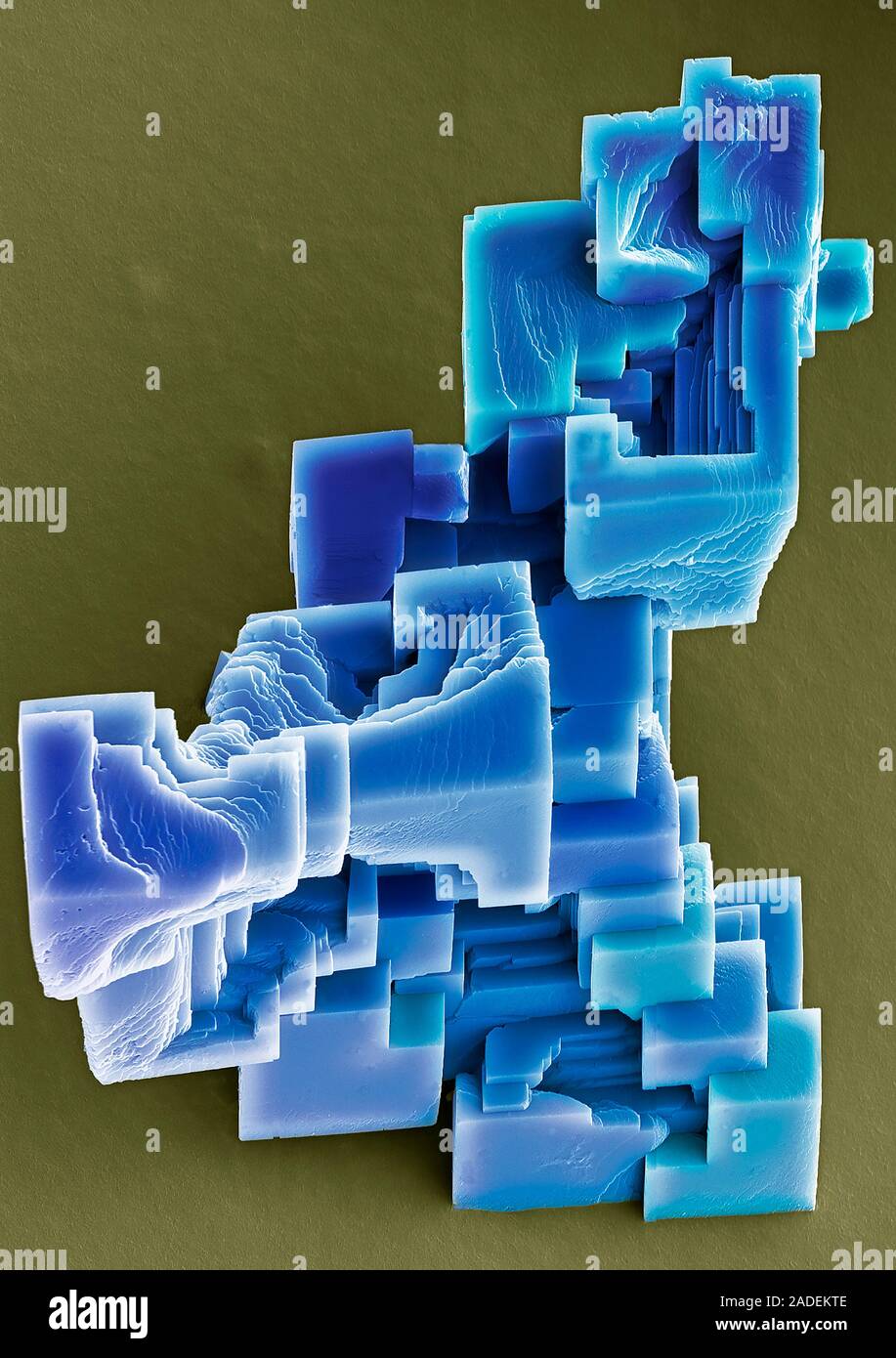 Calcite crystals. Coloured scanning electron micrograph (SEM) of ...