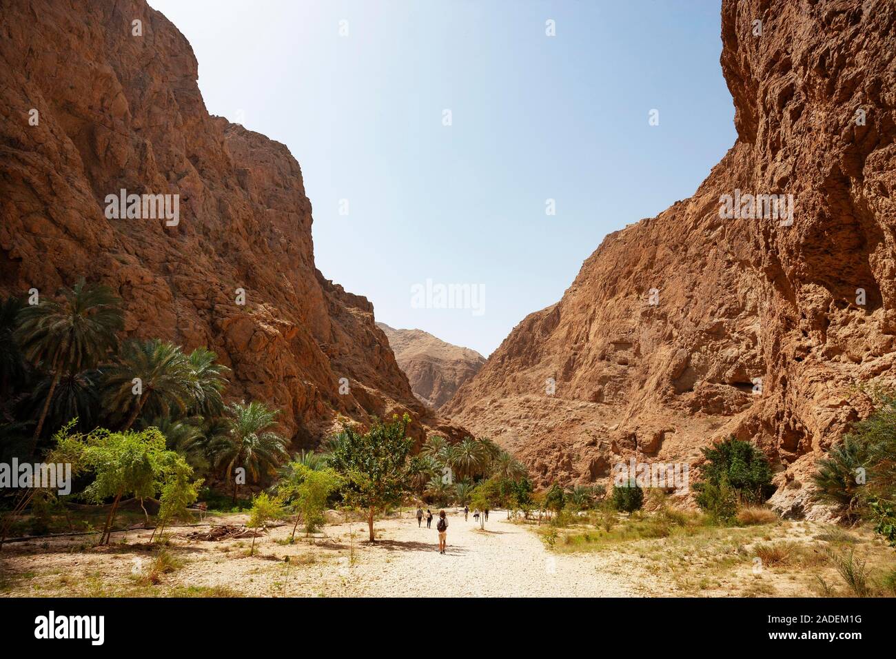 Shamal Stock Photos & Shamal Stock Images - Alamy