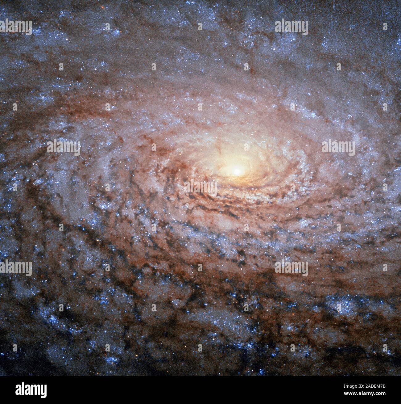 Messier 63 is a spiral galaxy also known as the Sunflower Galaxy due to ...