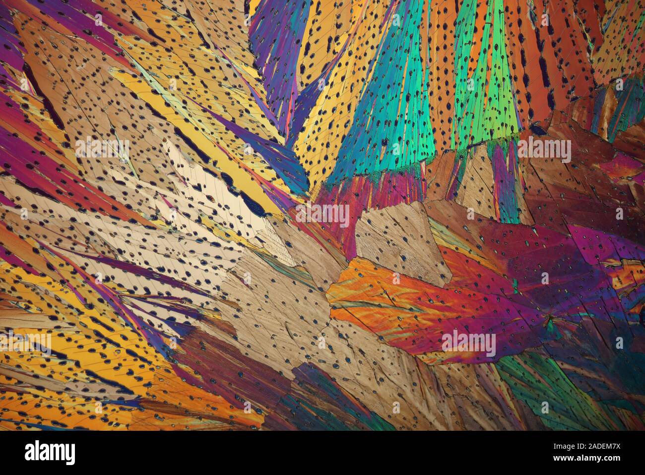 Acetanilide crystals, polarised light micrograph. Acetanilide is an ...