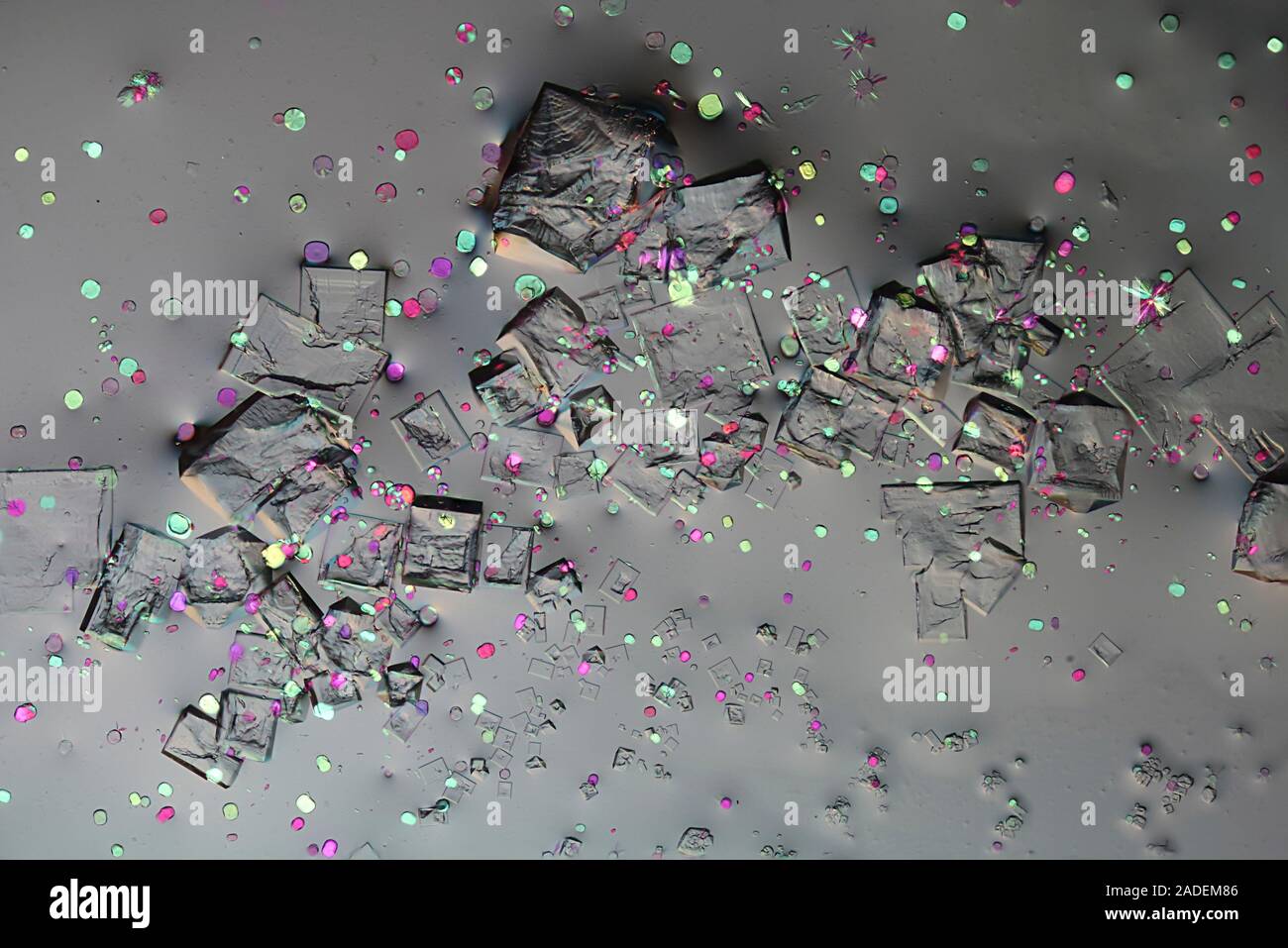 Sea salt crystals, differential interference contrast light micrograph ...