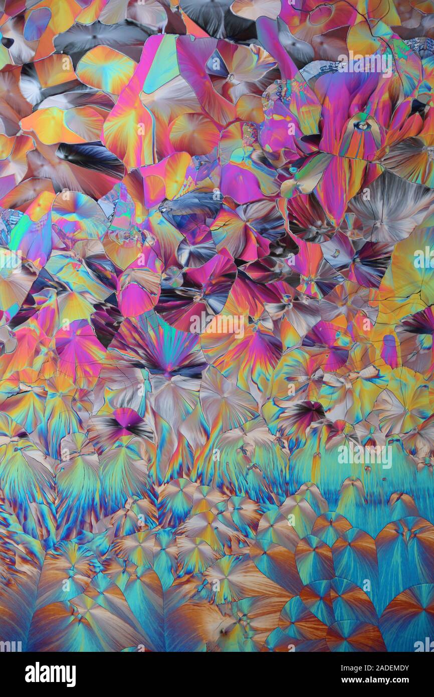 Dopamine crystals, differential interference contrast light micrograph ...