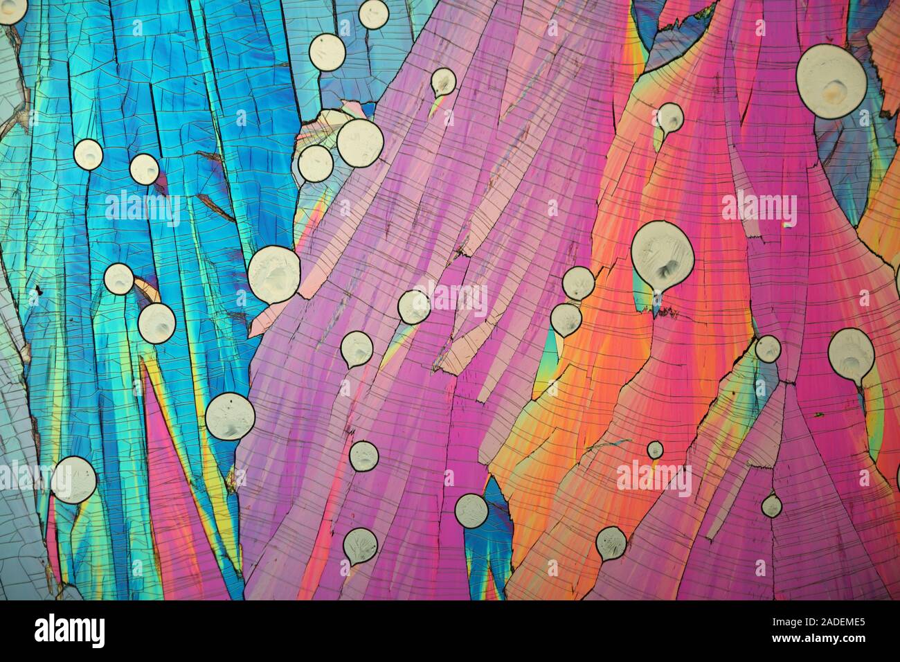 Dopamine crystals, polarized light micrograph. Dopamine is a ...