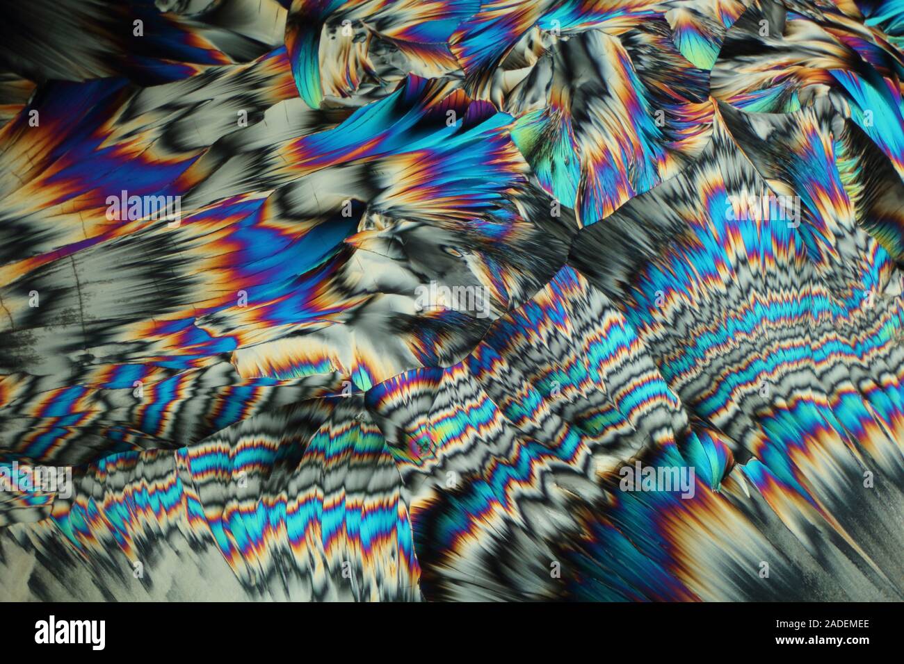 Alanine and glutamine crystals. Polarized light micrograph of crystals ...