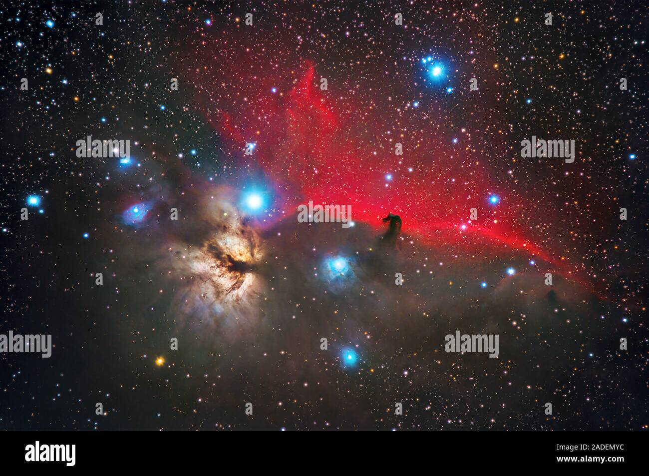 The Horse Head and Flame Nebulae in Orion, optical image. The Horsehead ...