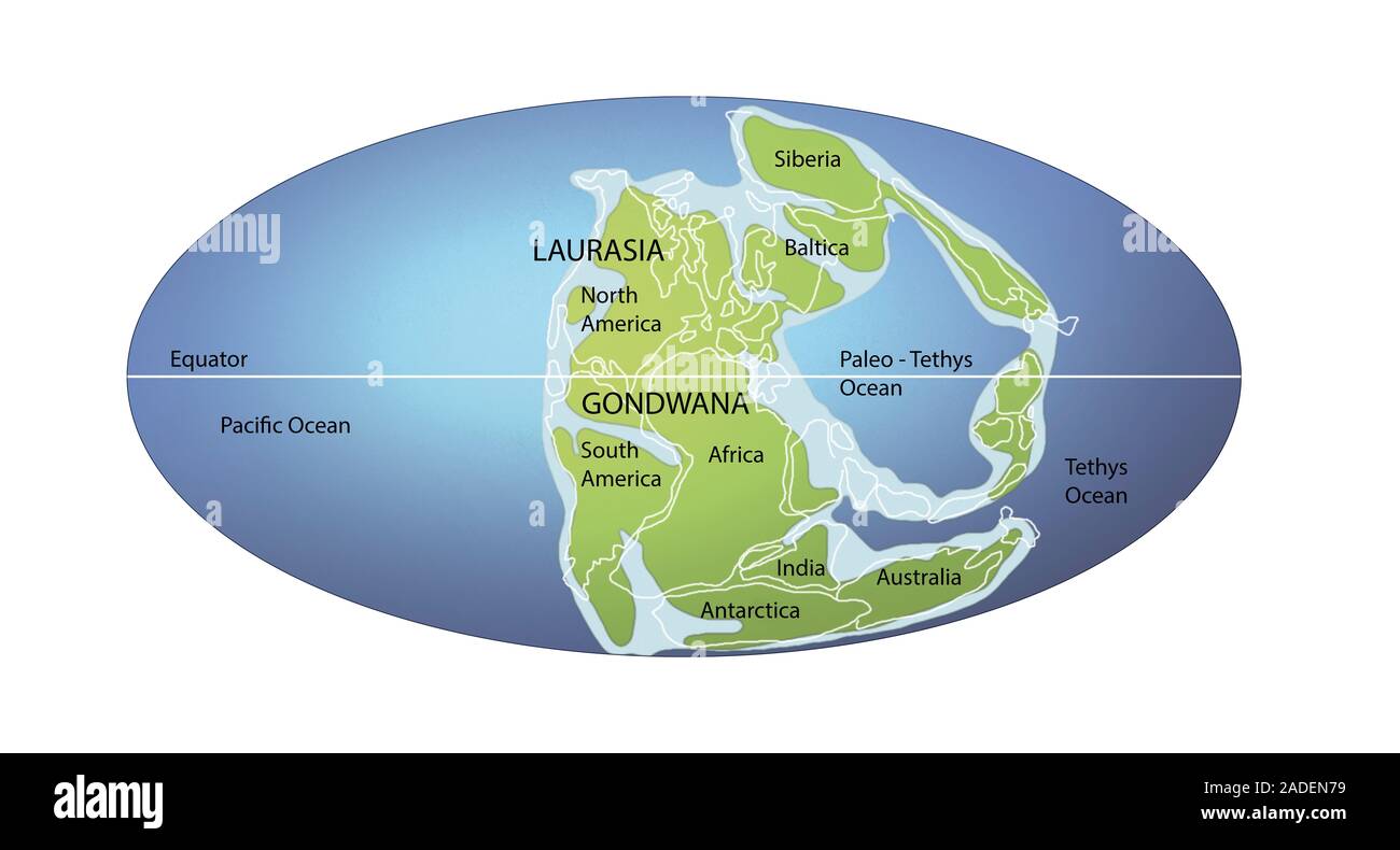 Continents 258 million years ago, illustration. Elliptical projection ...