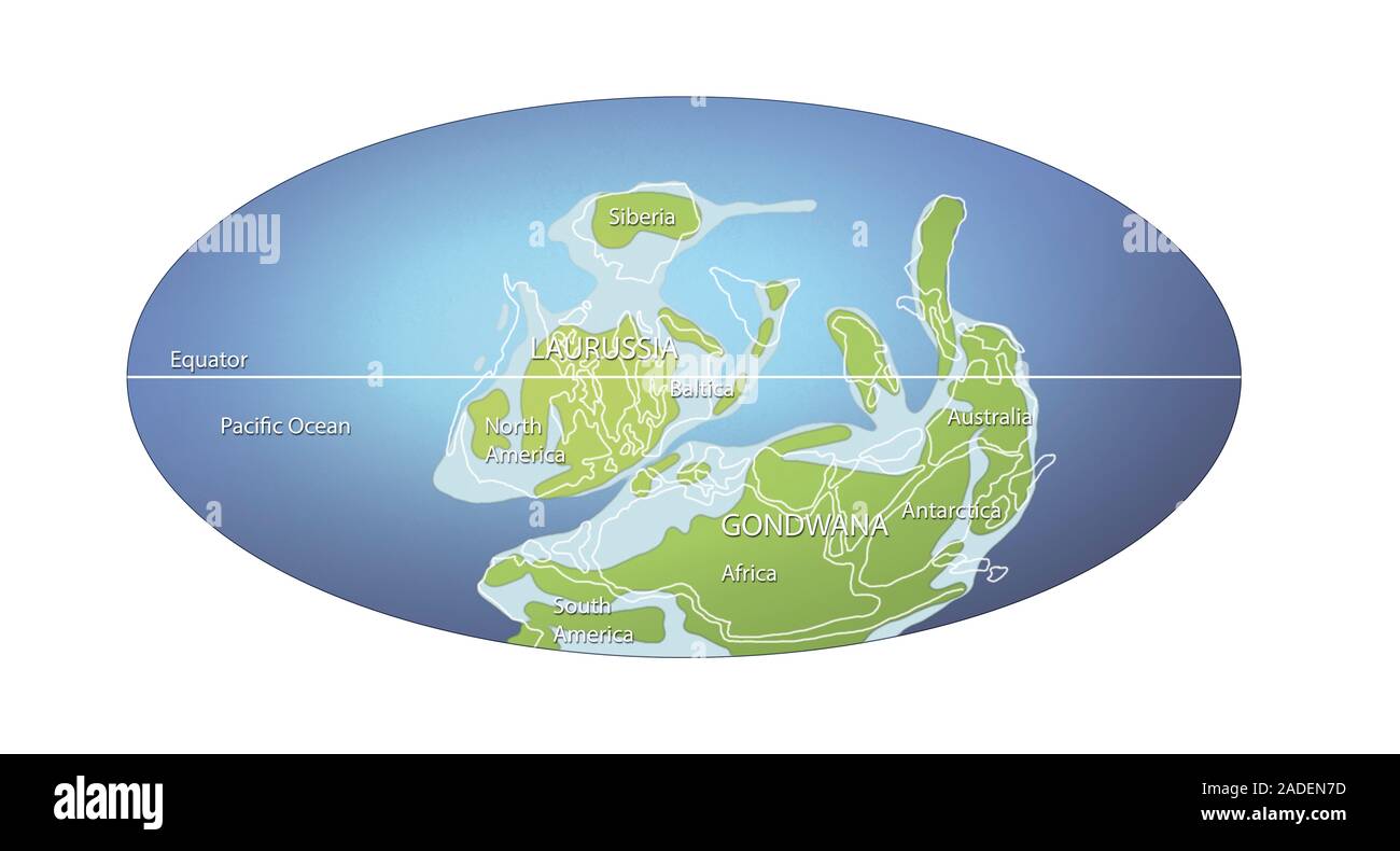 Continents 390 million years ago, illustration. Elliptical projection ...