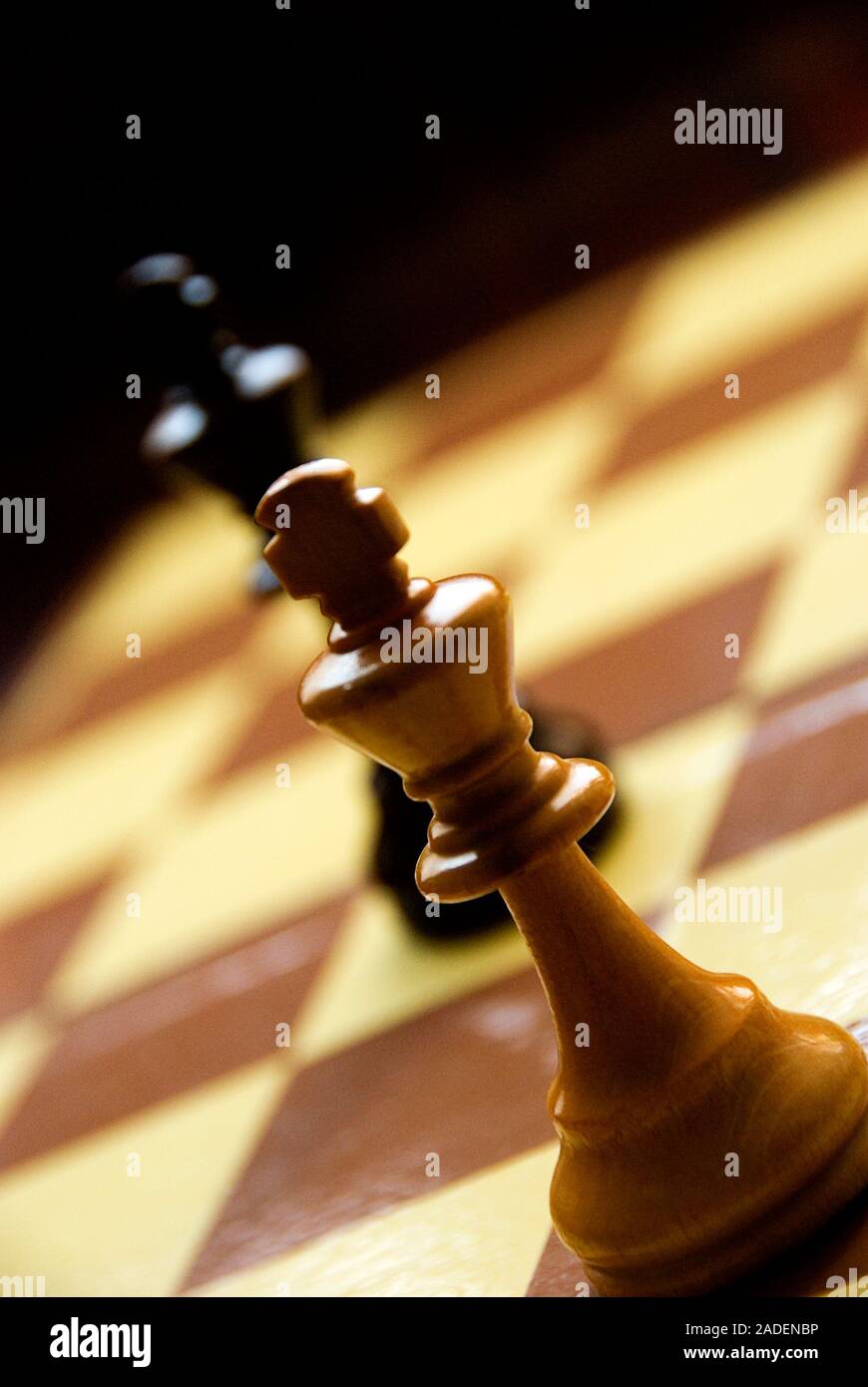 chess kings on the chessboard, confronting Stock Photo - Alamy