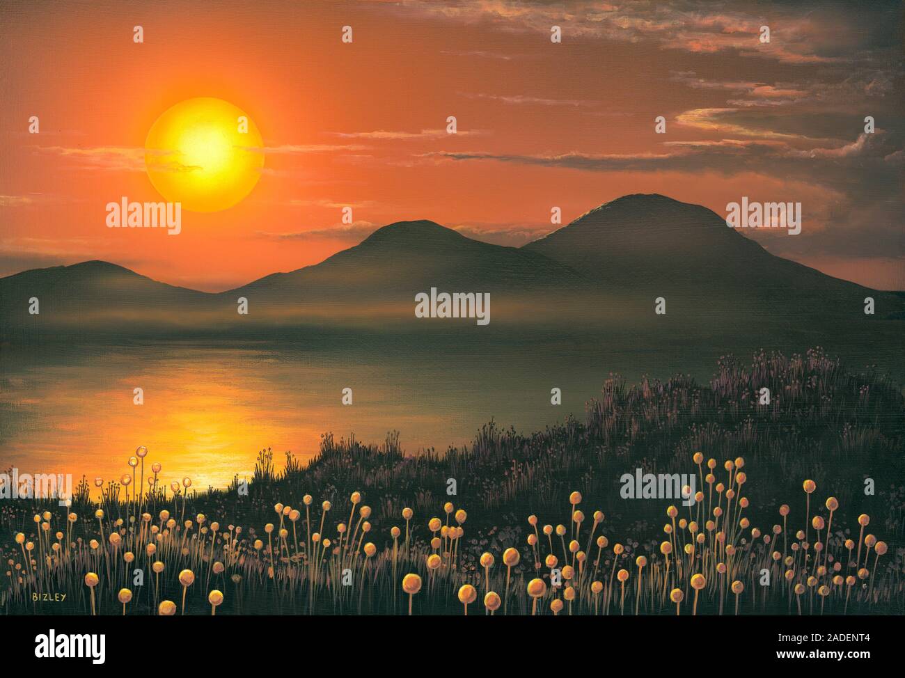 Conceptual illustration of the surface of a planet around Teegarden's ...