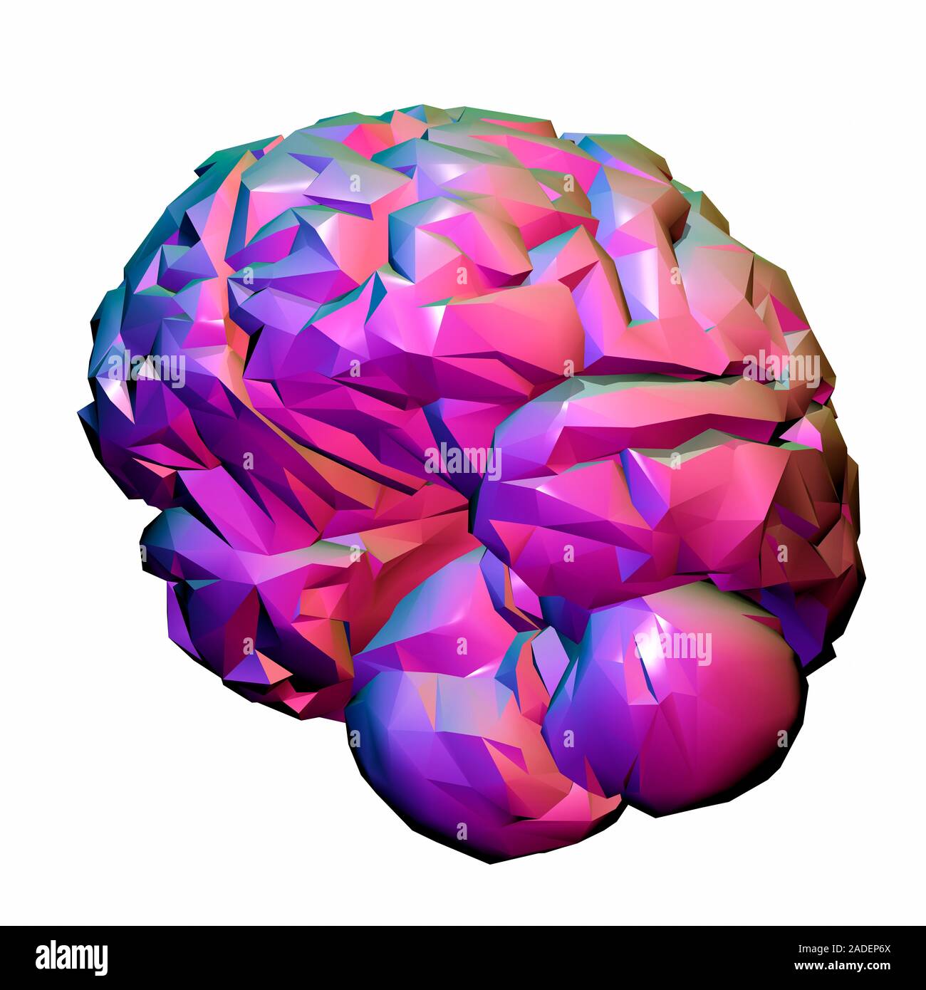 This image may not be used in educational posters Human brain. Computer ...