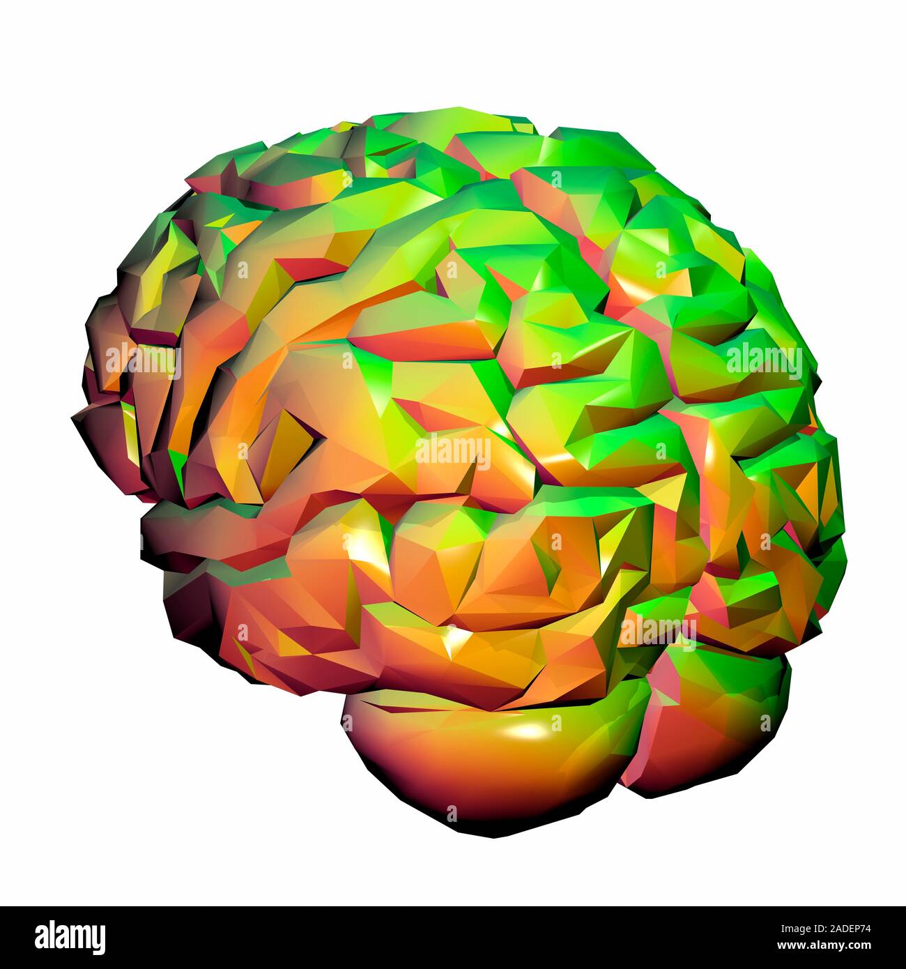 This image may not be used in educational posters Human brain. Computer ...