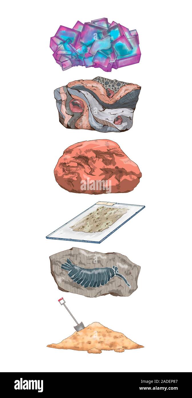Geology fields, conceptual illustration. From top to bottom are ...