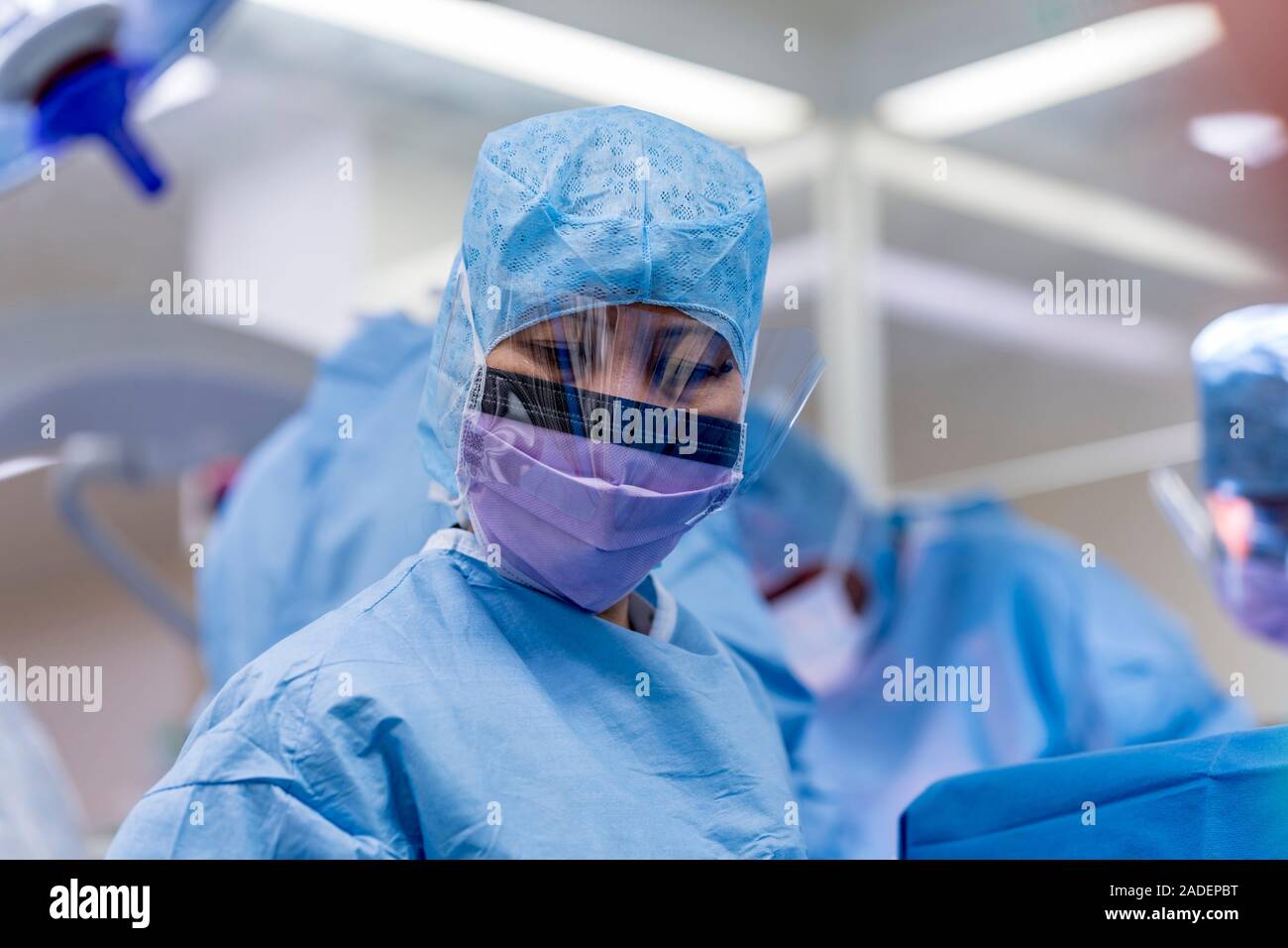 MODEL RELEASED. Spinal surgery. Member of a surgical team assisting ...